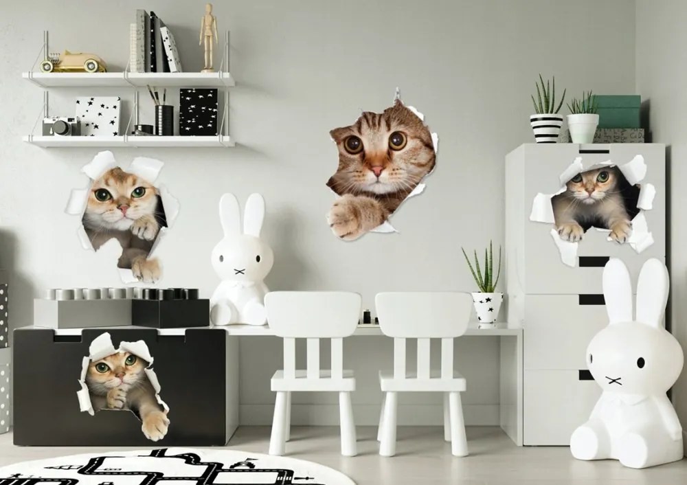 Dekorační nálepka na zeď zvědavé kočky 100 x 200 cm