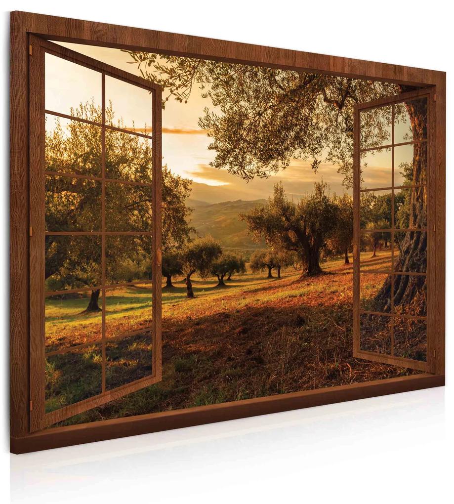 Malvis ® Obraz Okno do ráje přírody Velikost: obdélník - 90x60 cm