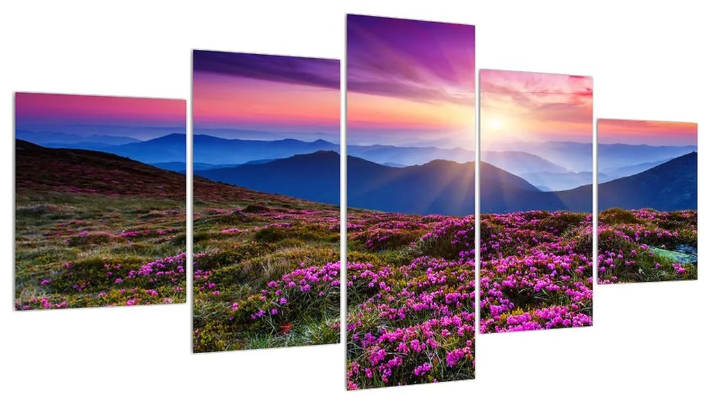 Obraz horské rozkvetlé krajiny (150x80 cm)