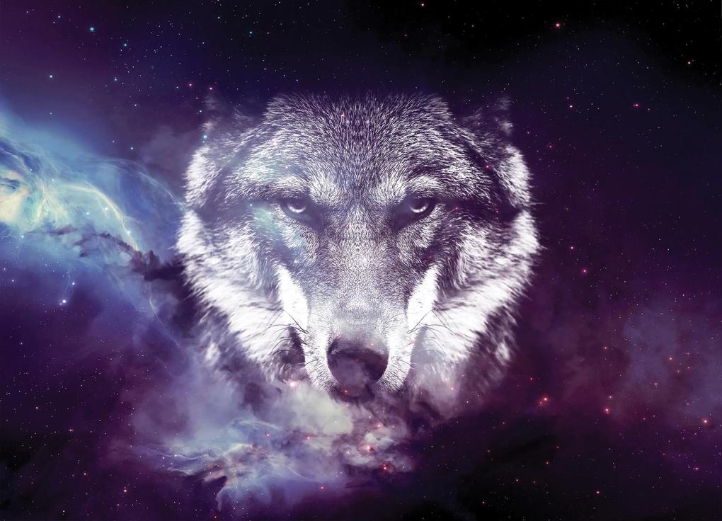 Malvis ® Tapeta vesmírný vlk Vel. (šířka x výška): 288 x 200 cm