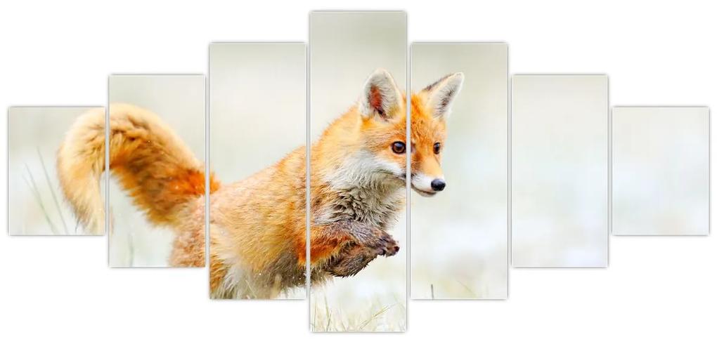 Obraz - Skákající liška (210x100 cm)