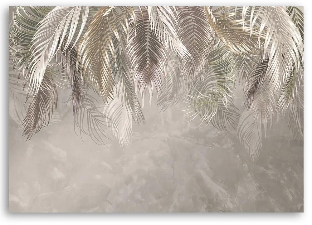 Obraz na plátně, Palmové listy na 3D betonu - 60x40 cm