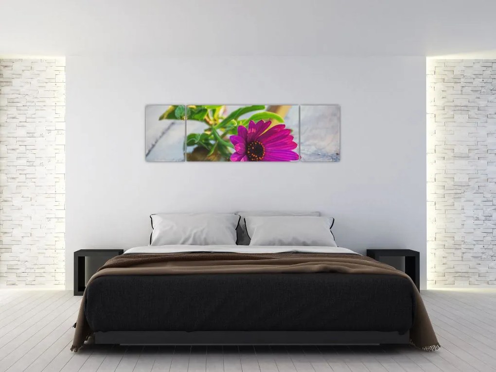Obraz řezané květiny (170x50 cm)