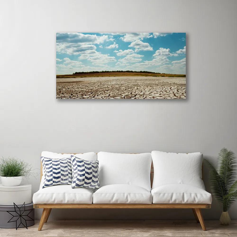 Obraz na plátně Poušť Krajina 100x50 cm