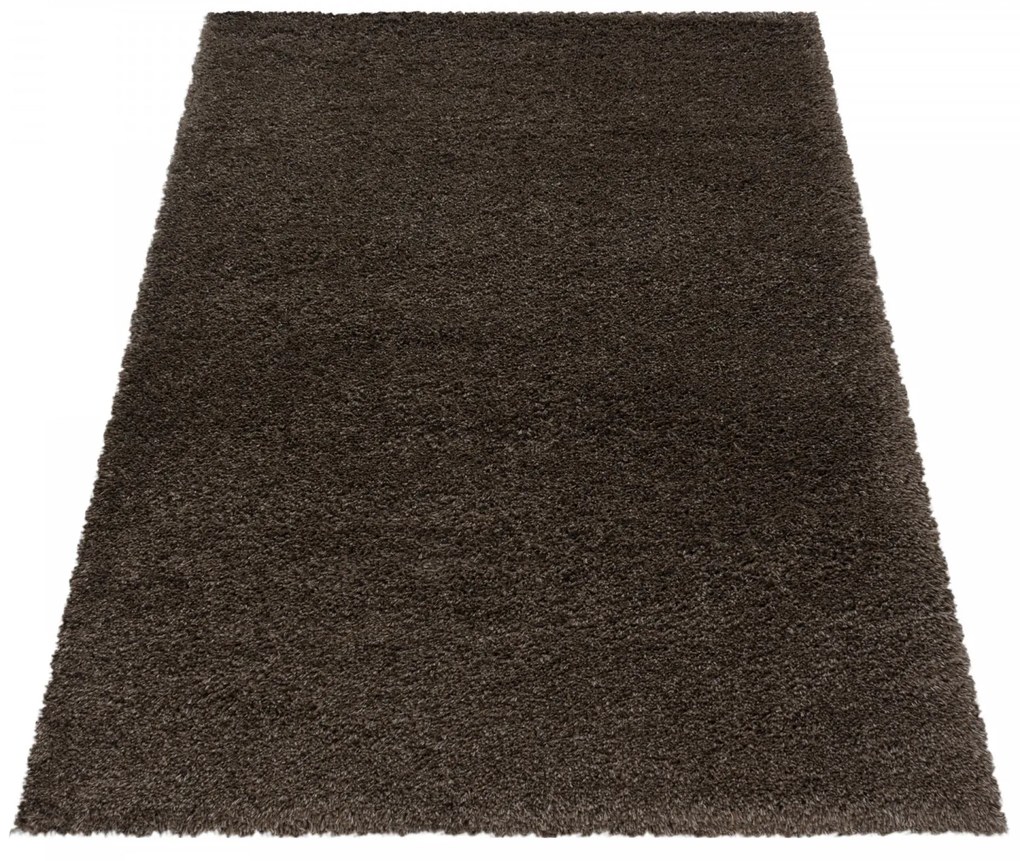 Ayyildiz koberce Kusový koberec Fluffy Shaggy 3500 brown - 140x200 cm