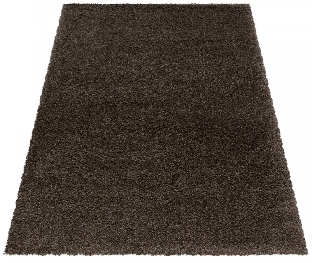 Ayyildiz koberce Kusový koberec Fluffy Shaggy 3500 brown - 60x110 cm