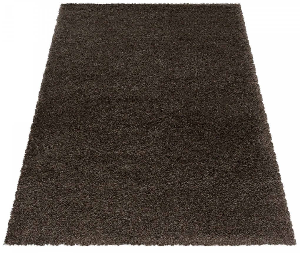 Ayyildiz, Kusový koberec Fluffy Shaggy 3500 brown, 140x200, hnědá, ložnice