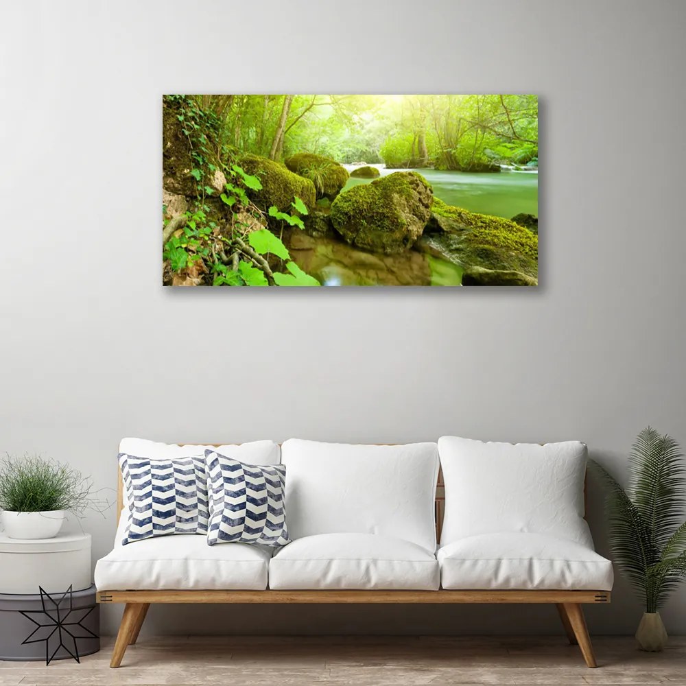 Obraz na plátně Jezero Kameny Příroda 120x60 cm