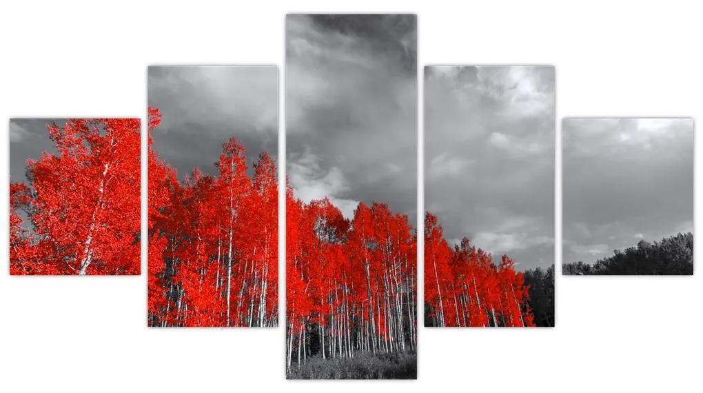 Obraz - Stromy v barvě podzimu (125x70 cm)