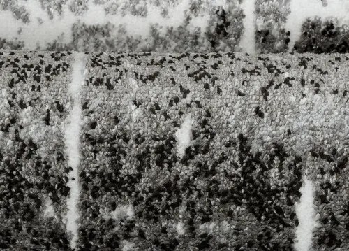 Koberce Breno Kusový koberec VICTORIA 8030 - 0644, Šedá, Vícebarevné, 133 x 190 cm
