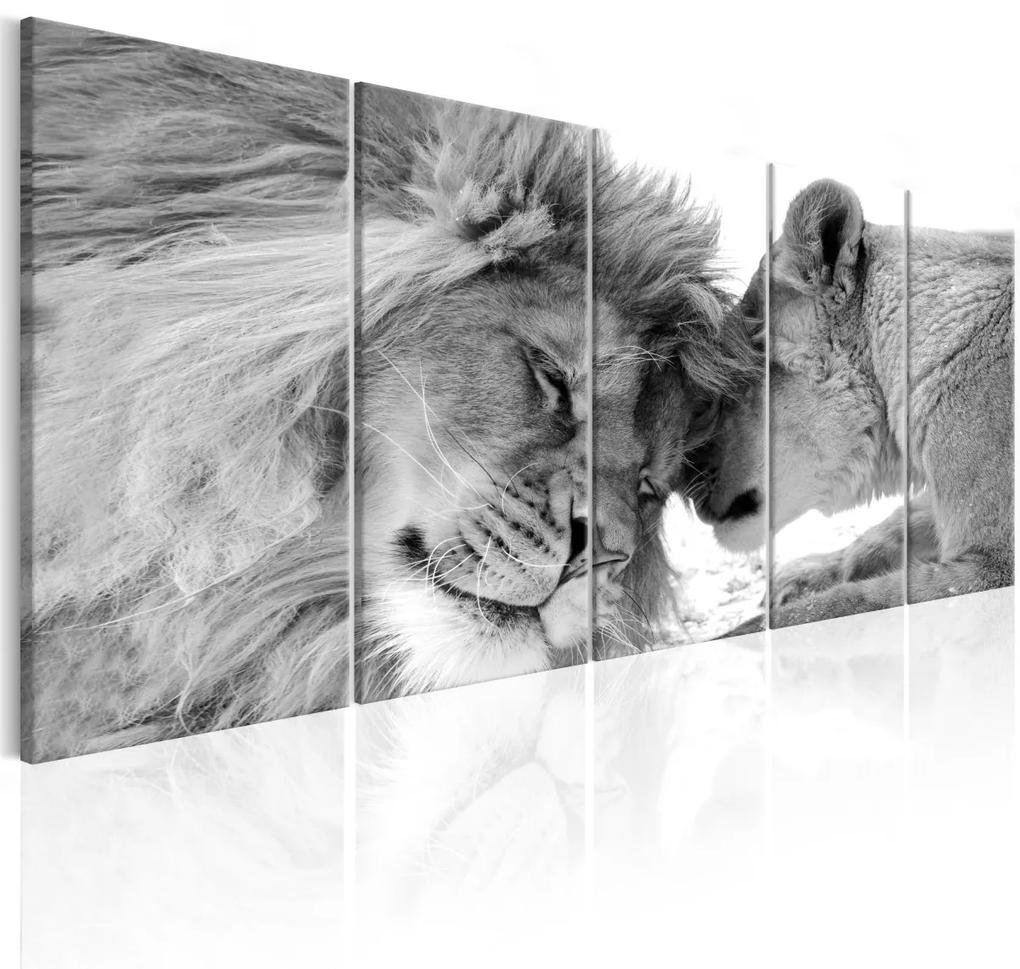 Murando DeLuxe Vícedílný obraz - lví láska Velikost: 225x90 cm