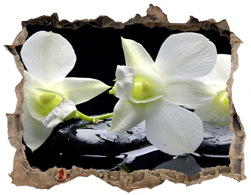 Wallmuralia Samolepící nálepka fototapeta Orchidej 95x64 cm