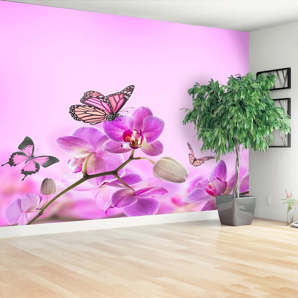 Fototapeta Orchid Motýl 104x70