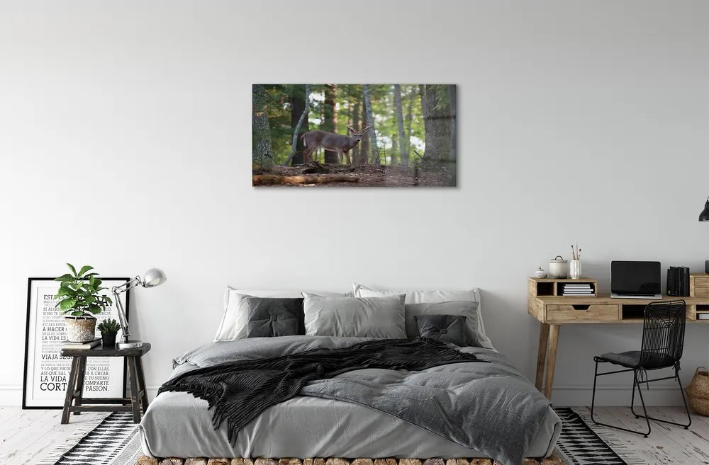 Obraz na skle jelen lesní 100x50 cm