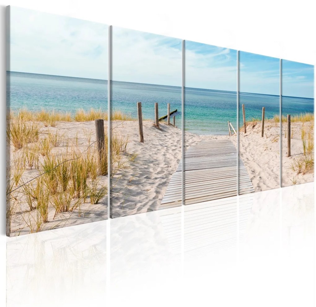 Vícedílný obraz cesta na pláž + háčky a hřebíčky ZDARMA Velikost (šířka x výška): 150x60 cm