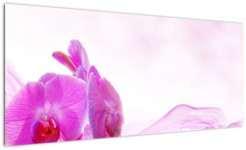 Obraz orchideje (100x40cm)