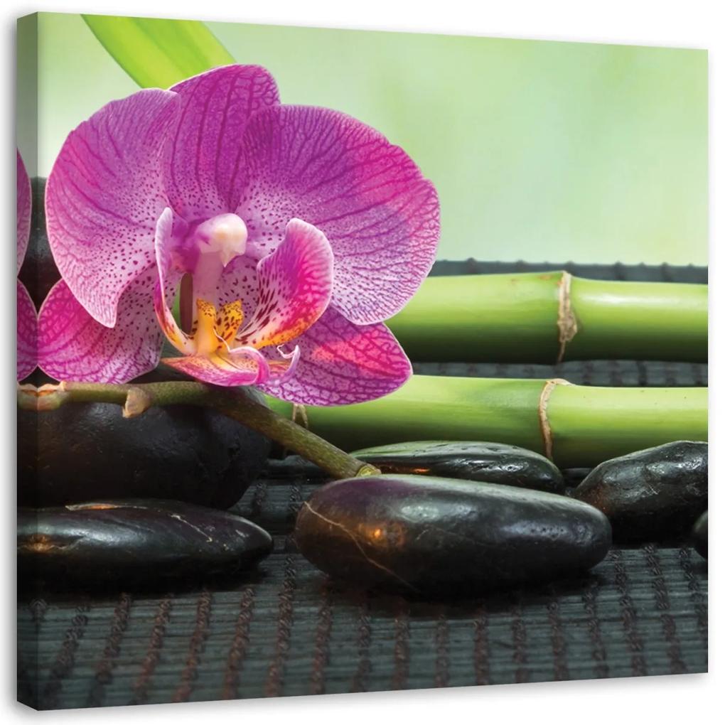 Obraz na plátně Lázně Zen Orchidej Květiny - 50x50 cm