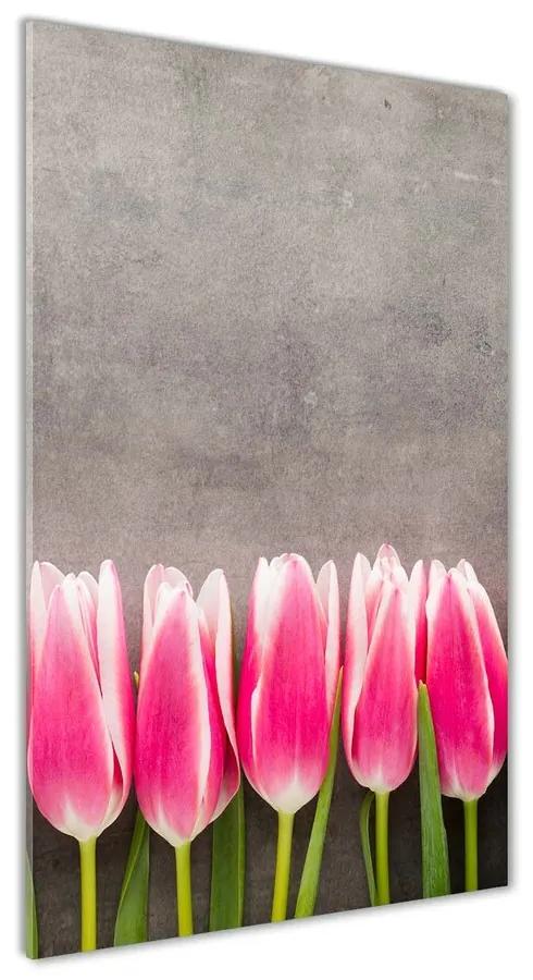 Wallmuralia Fotoobraz na skle Růžové tulipány 50x100 cm