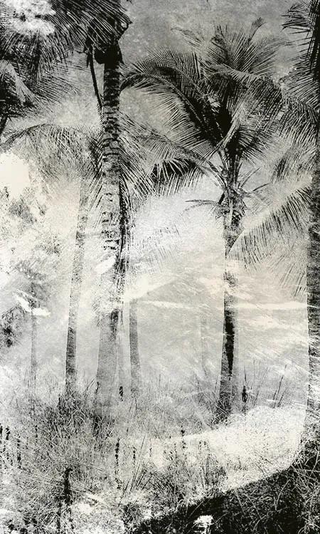 DIMEX | Vliesová fototapeta na zeď Abstrakt palmy MS-2-0374  | 150 x 250 cm | černá, bílá