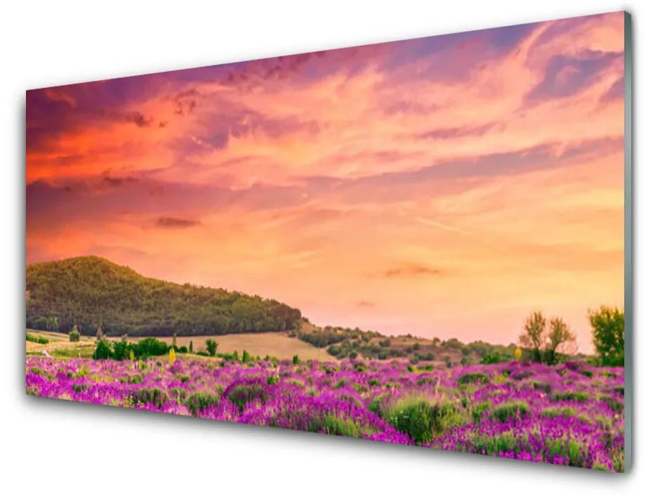 akrylový obraz Louka Květiny Krajina 140x70 cm