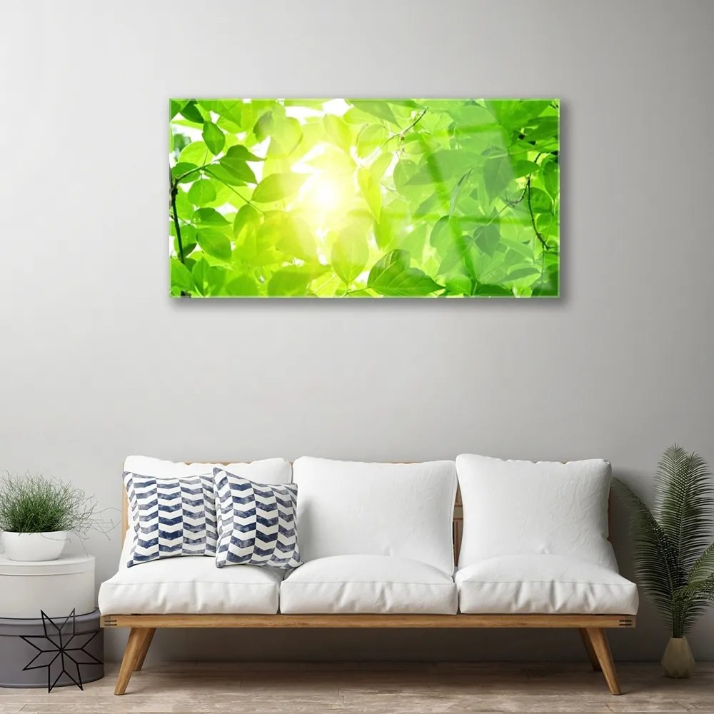 akrylový obraz Listy Příroda Slunce Rostlina 100x50 cm