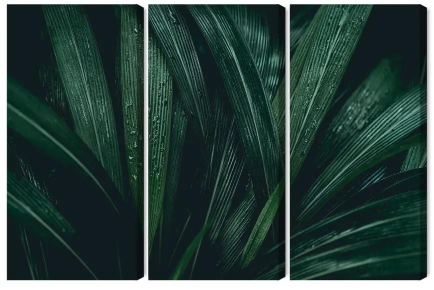 Vícedílný obraz Tmavě Zelené Listy Na Makro Stupnici Nedostatek Nedostatek Přírodní plátno 60x40