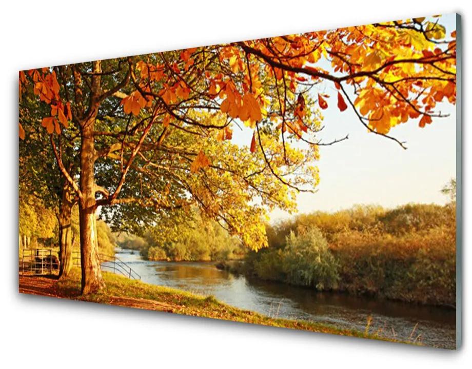akrylový obraz Strom Jezero Příroda 125x50 cm