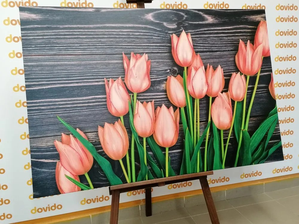 Obraz očarující oranžové tulipány na dřevěném podklade