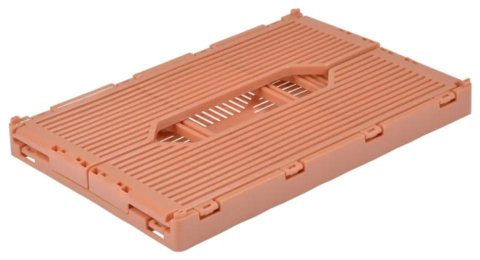 Plastový úložný box v lososové barvě 30x20x11.5 cm – Homéa