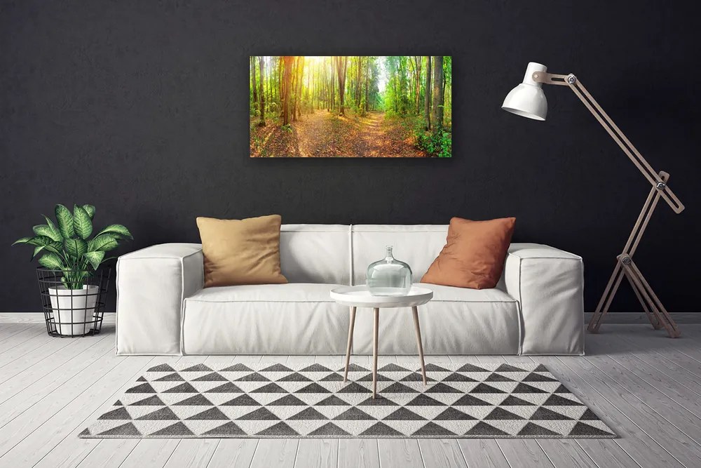 Obraz na plátně Slunce Příroda Lesní Stezka 125x50 cm