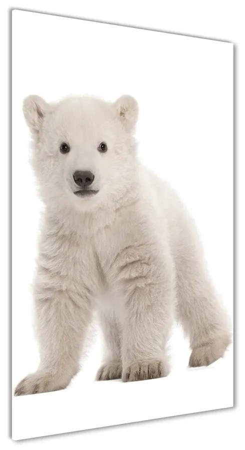 Wallmuralia Foto obraz sklo tvrzené Polární medvěd 50x100 cm