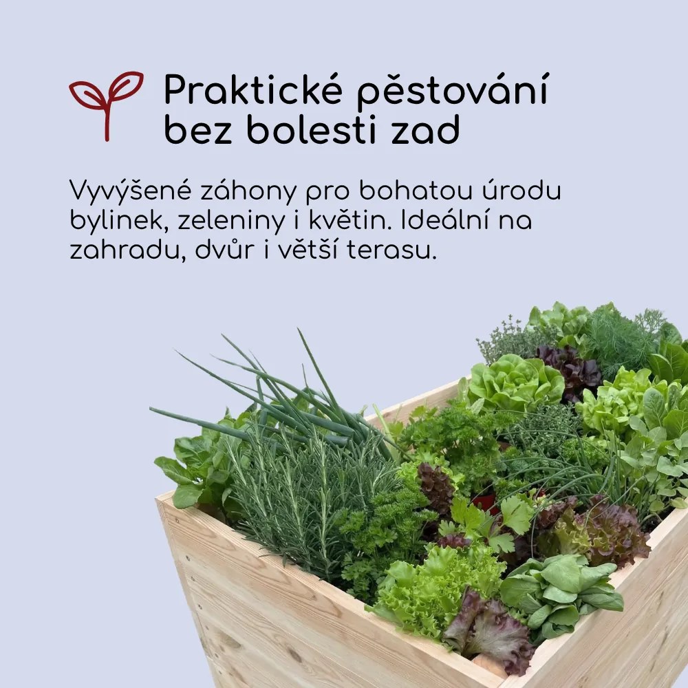 Vingo Dřevěný vyvýšený záhon Rozměry (cm): 120x60x60