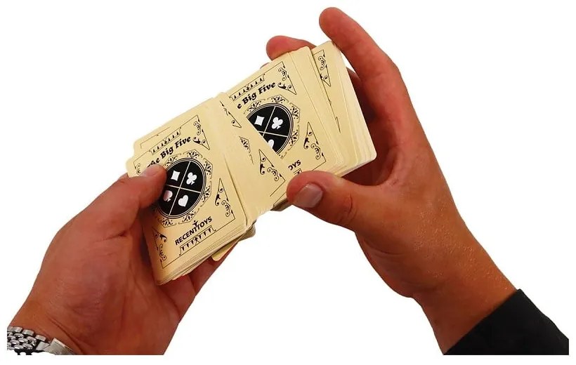 Desková hra The Big Five - Cards – RecentToys