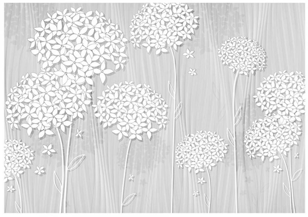 Tapeta Bílé květy na dřevě (150x105 cm) - Murando DeLuxe