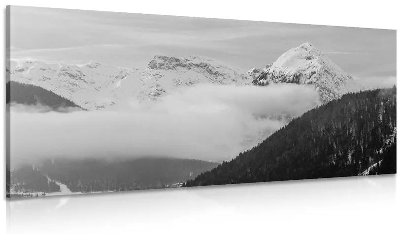 Obraz zimní krajina v černobílém provedení - 100x50 cm