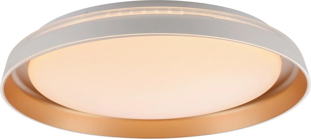 XXXLutz STROPNÍ LED SVÍTIDLO, 43/43/8,5 cm - Stropní svítidla - 006930080301