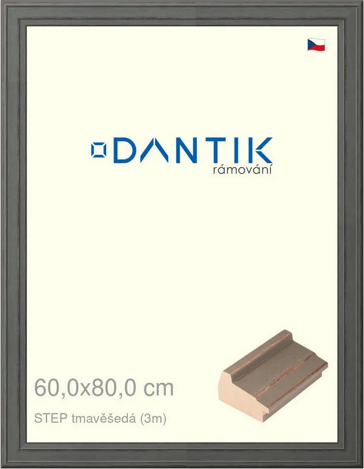 DANTIK rámeček 60x80 | STEP tmavěšedá (Plexi Čiré)