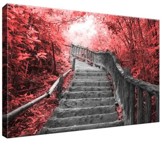 Obraz na plátně Schody v červeném lese 30x20cm 2572A_1T