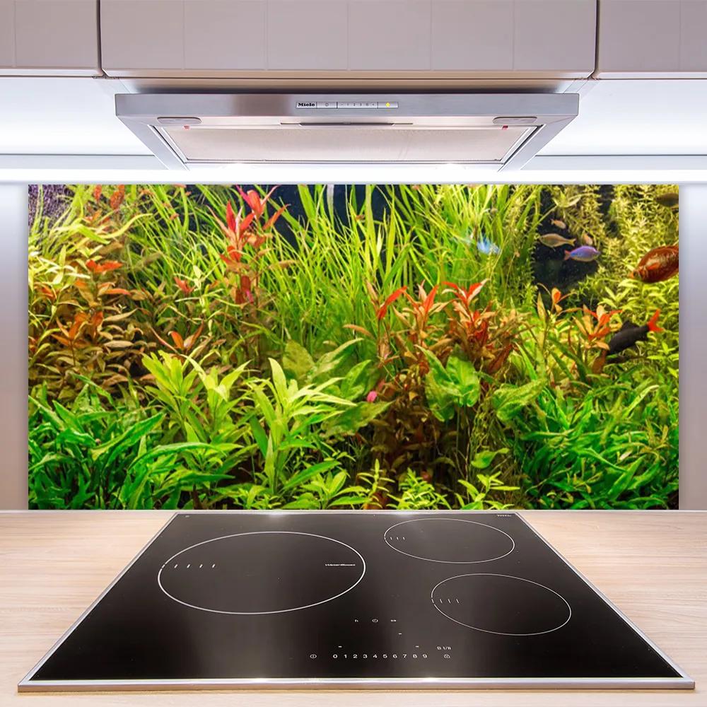 Skleněné obklady do kuchyně Akvárium Rybičky Rostliny 100x50 cm