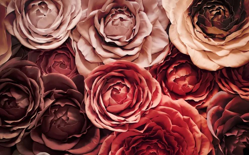 Vícedílný obraz Barevné Květiny Zblízka 3D Nedostatek Nedostatek Plátno Canvas 240x150