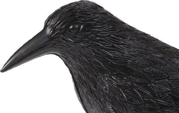 Havran plastová 3D maketa na plašení ptáků RAVEN ISO 0783, 40cm