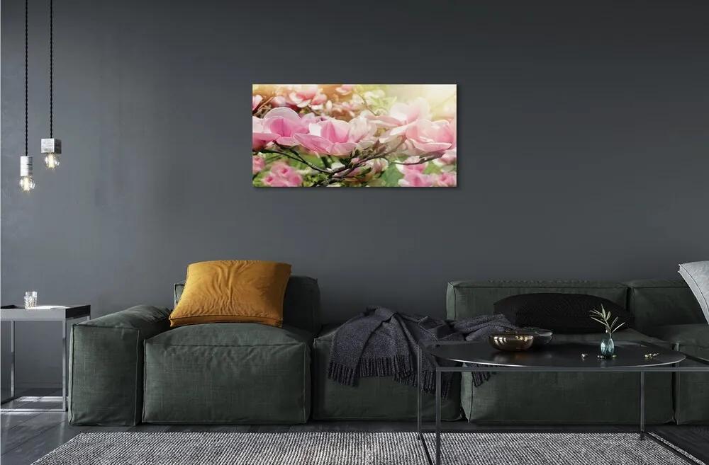 Obraz na skle květiny 125x50 cm