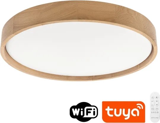 Brilagi - LED Stm stropní svítidlo MANAROLA SMART LED/36W/230V pr. 51 cm + DO