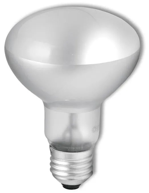 Ecolite | Průmyslová reflektorová žárovka R63 E27/40W/230V 2700K | EC0315