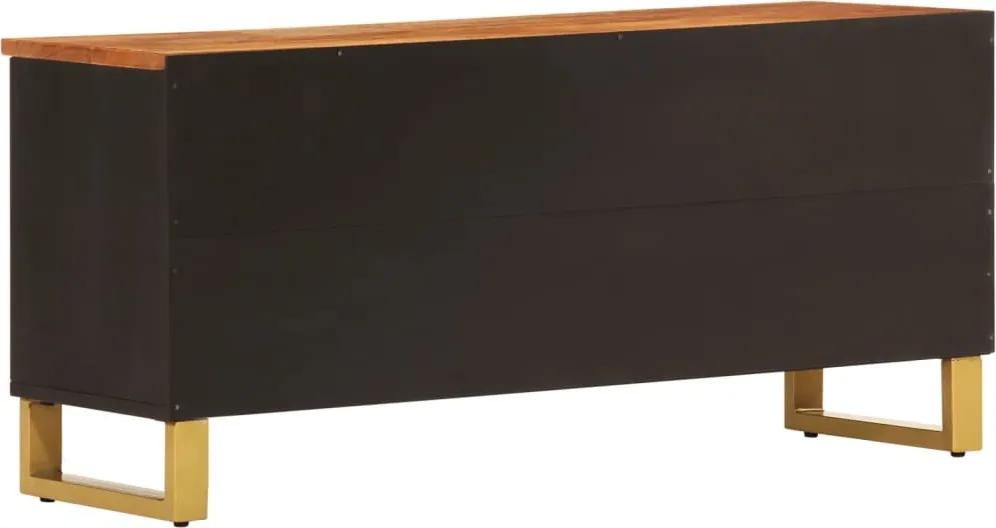 vidaXL TV skříňka hnědá a černá 100 x 33,5 x 46 cm masivní mangovník [356799]