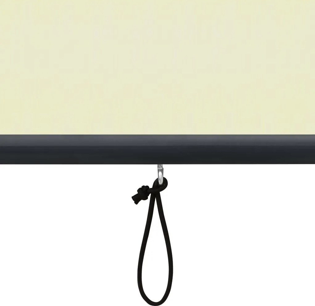 vidaXL Marketos Venkovní roleta 170 x 250 cm krémová