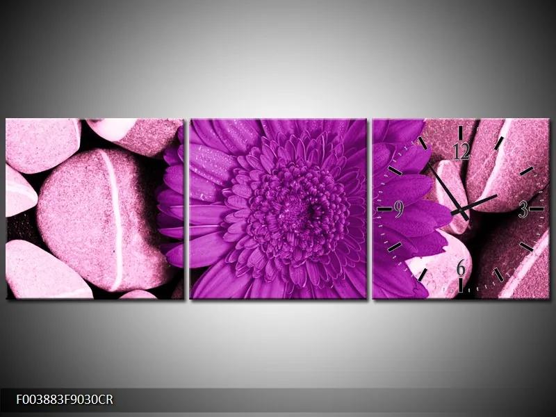 Obraz fialového květu na kamenech  (90x30 cm), 40 dalších rozměrů