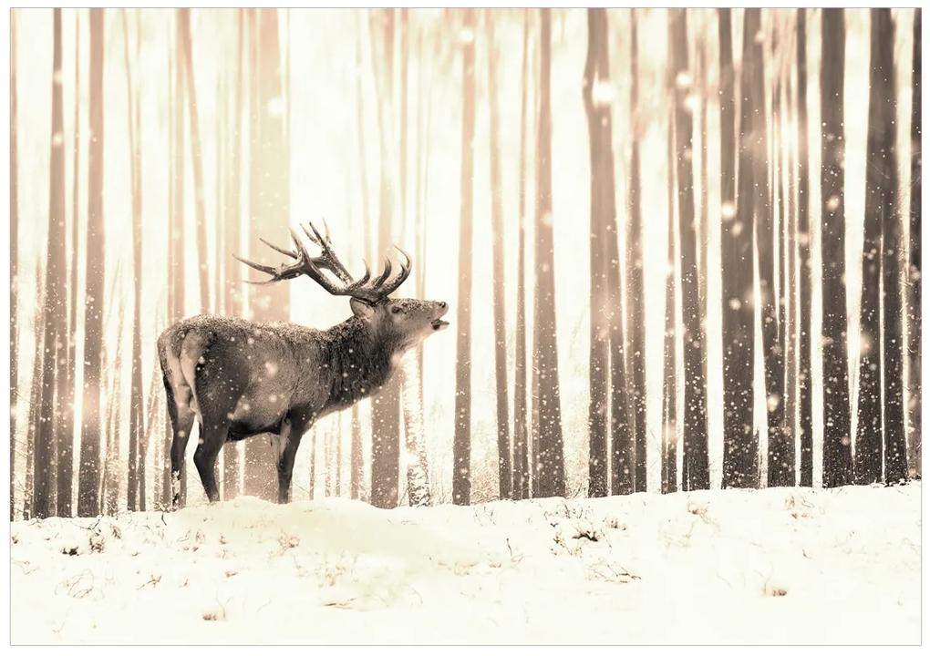 Fototapeta - Deer in the Snow (Sepia)