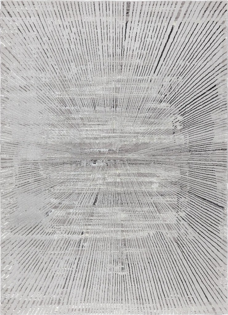 Dywany Łuszczów, Kusový koberec Bliss Z206AZ256 grey, 120x170, šedá, kancelář