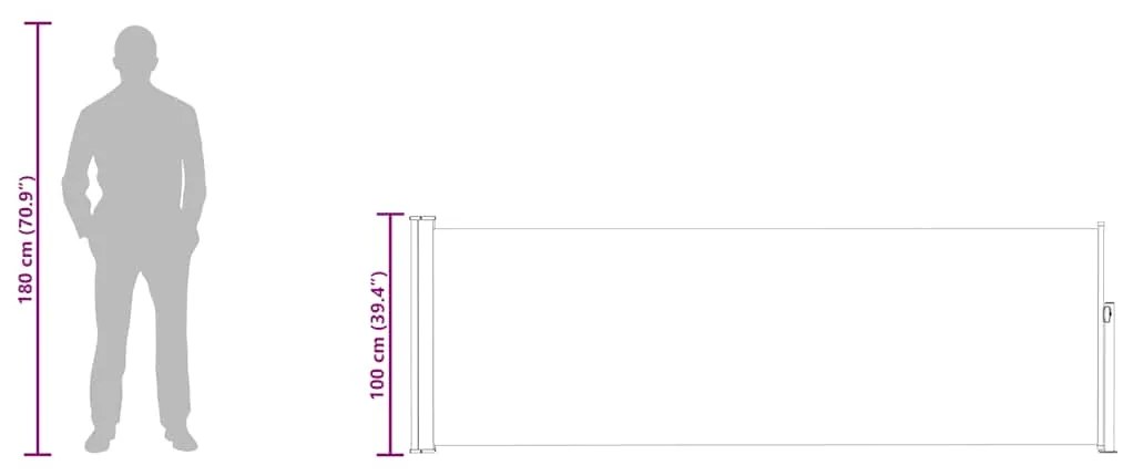 vidaXL Marketos Zatahovací boční markýza / zástěna na terasu 100 x 300 cm černá